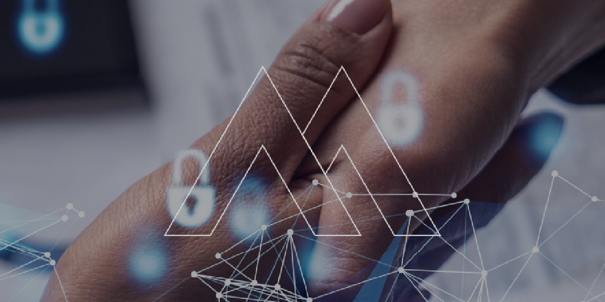 Members List - AmCham